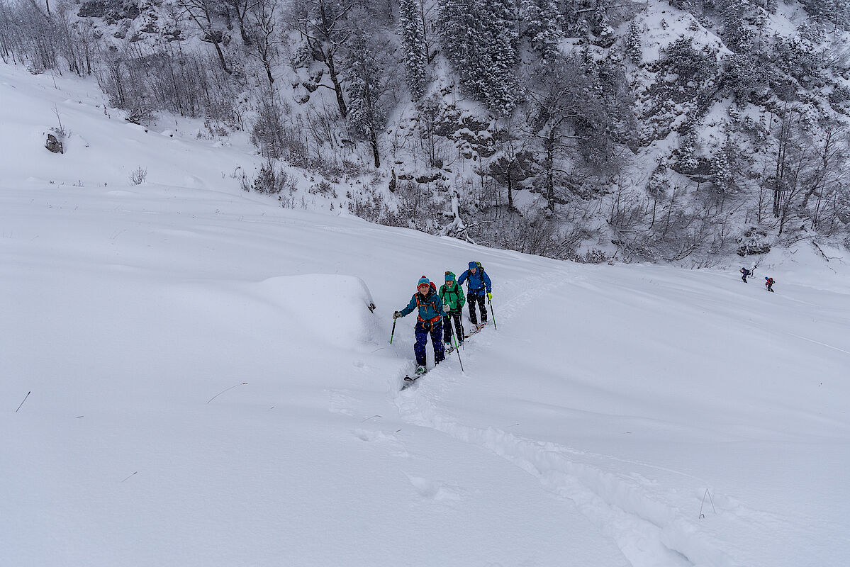 Neuhaus - Brecherspitze - Rosskopf - Spitzingsee